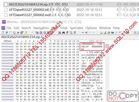 Zeppelin Ransomware Decryption Server Poisoning Decryption Zepppelin Database Ransomware Decryption