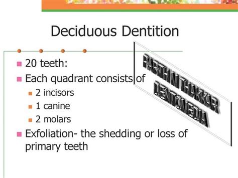 The Mixed Dentition Pedodontics Ppt