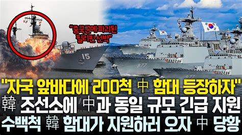 자국 앞바다에 나타난 중국 함대에한국으로 날아온 긴급 지원 요청수백척 한국 함대 지원에 당황한 중국의 긴급 철수 시도 Youtube