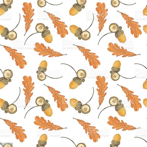 오크 잎과 흰색 배경에 도토리 원활한 패턴 수채화 손 그리기 그림 아쿠아렐 브라운 가을 잎과 너트 10월에 대한 스톡 벡터 아트 및 기타 이미지 Istock