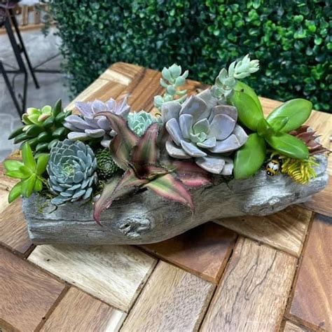 Succulent Log Planter Etsy
