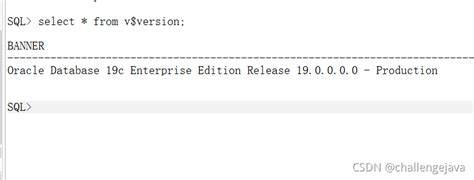 Maven工程中配置oracleoracle 19c Maven Csdn博客