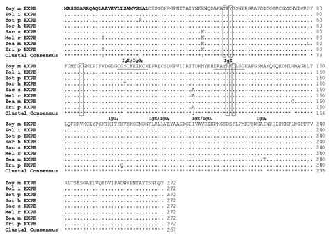 Identity Matrix In Bioedit Complasopa