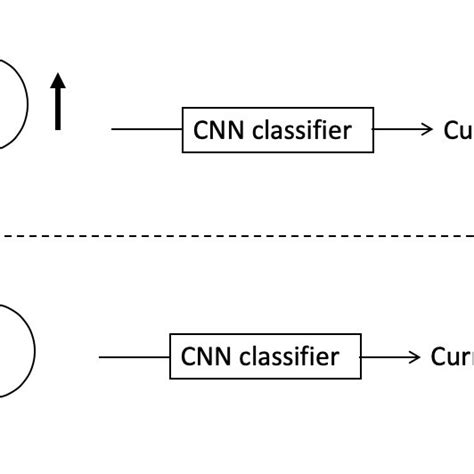 A False Positive Classification By Cnn Download Scientific Diagram