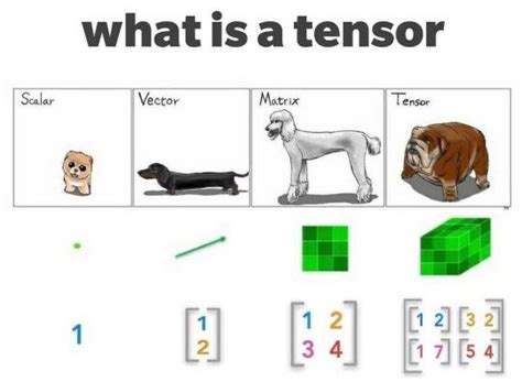 Machine Learning Europe On Linkedin Machinelearning Ml Ai Ki Data Sql Datascience