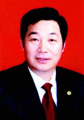 王宏图册 360百科