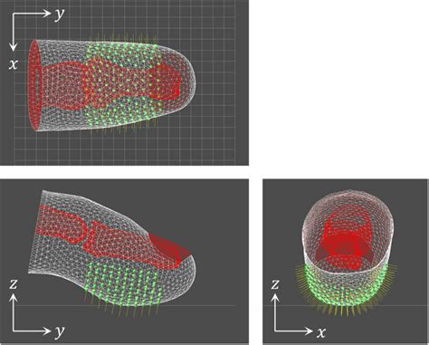 Mesh Model For Contact Simulation And Matching The Soft Tissue In The