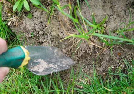 How To Permanently Stop Weeds From Growing