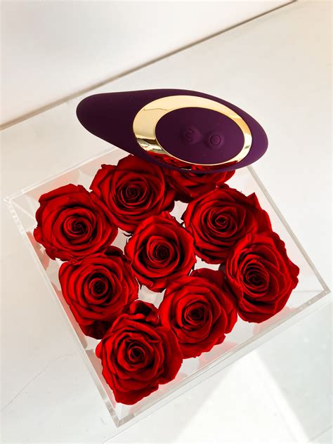 Tracys Dog Sex Toy 9 Infinity Roses And Valentines Day Card Studio