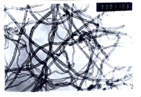 Functionalized Carbon Nanotubes Cheap Tubes