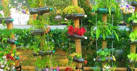 How To Design Vertical Gardens Anywhere In Your Home With Old Plastic