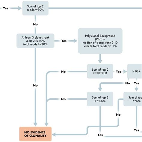 Workflow For Determination Of B Cell Clonality Overview Schematic Of Download Scientific