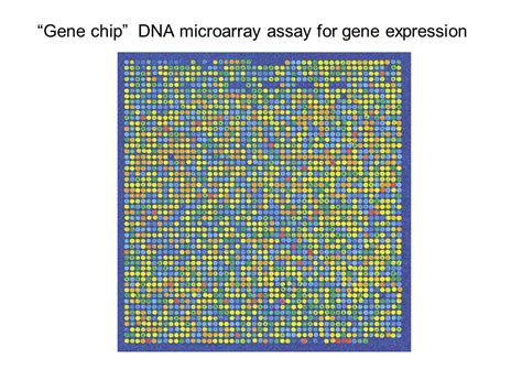 Viruses Ch 18 Structure Function Ppt Video Online Download
