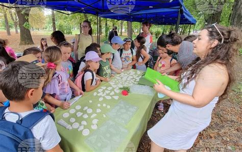 Деца и младежи творят в работилници за изкуство в Градската градина на