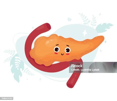 귀여운 만화 췌장 재밌는 인간 기관 벡터 플랫 만화 캐릭터 일러스트레이션 디자인 해부학 개념입니다 가공의 인물에 대한 스톡 벡터