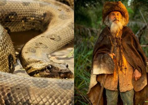 Conheça A Bonita A Sucuri Verde Usada Nas Gravações Da Novela Pantanal