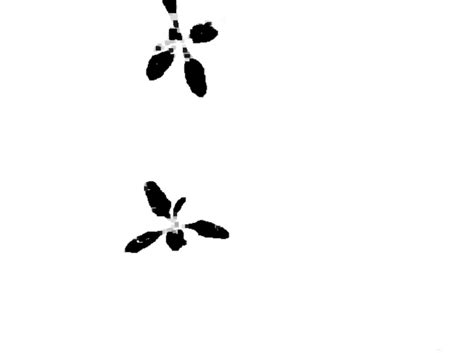 Final Weed Detection Object Detection Dataset And Pre Trained Model By Pranay Lendave