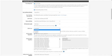 Configure The Openvpn Server In Pfsense With The Best Security Itigic