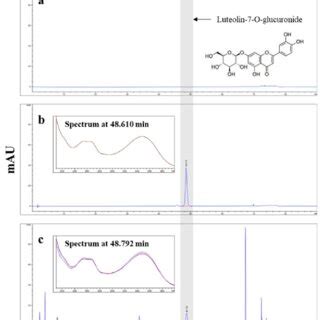 High Performance Liquid Chromatography With Diode Array Detection Download Scientific Diagram