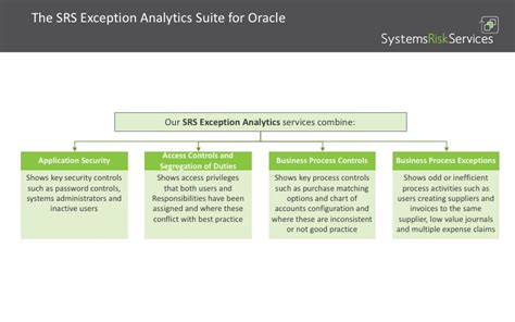 Remote Oracle Erp Hcm Security And Controls Health Check Systems Risk Services Uk London