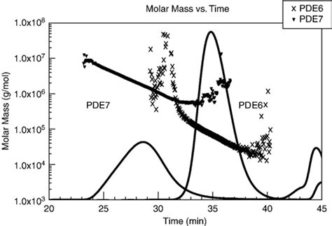 The Calculated Dependencies Of Molar Mass Versus Elution Time For Pde6