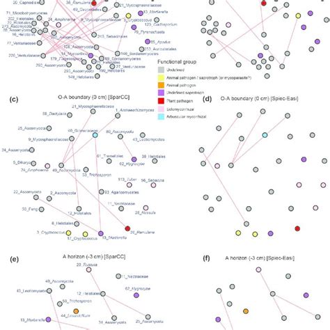 Positive Co Occurrence Networks Based On The Sparcc Left And