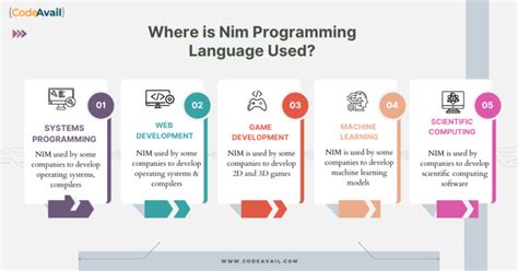 Nims Typelevel Programming Techniques