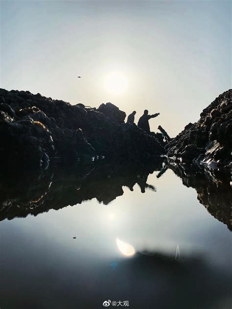 欲买桂花同载酒 终不似 少年游 ~少年游桂花新浪新闻 欲买桂花同载酒 终不似 少年游 ~少年游桂花新浪新闻