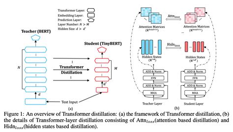 Tinybert Distilling Bert For Natual Language Understanding 리뷰 Ukjae Jeong