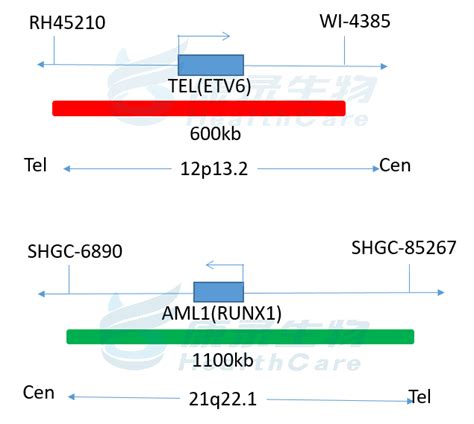 Etv6telrunx1aml1基因转位探针试剂（原位杂交法） 武汉康录生物技术股份有限公司