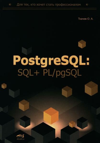 Postgresql Sql Plpgsql для тех кто хочет стать профессионалом