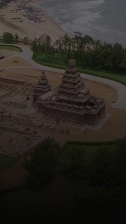 Nipunika Rajak Posted On Linkedin