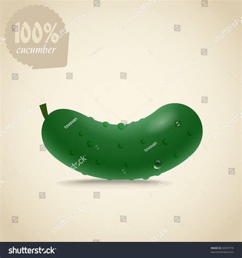 Cucumber Stock Vector Royalty Free 92297770 Shutterstock