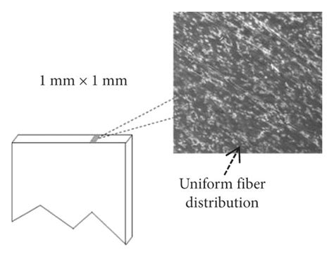 Scanning Electron Microscope Image Of Oil Sump Material Sampling Scanning Electron Microscope Image Of Oil Sump Material Sampling