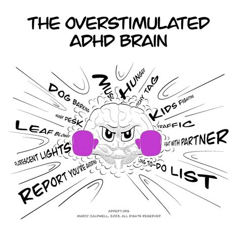 Adhd Brain Vs Normal Brain Function Differences And More Adhd