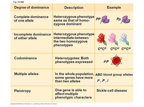Types Of Dominance In Genetics