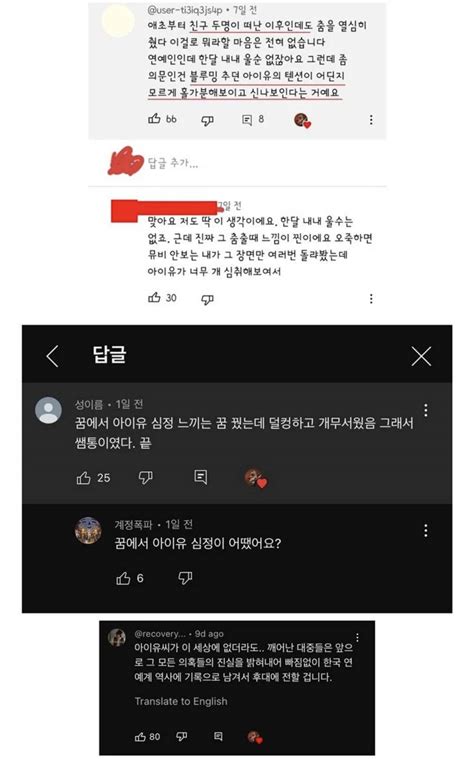 정말 심각해보이는 아이유 안티들 상황  인스티즈 Instiz 이슈 카테고리
