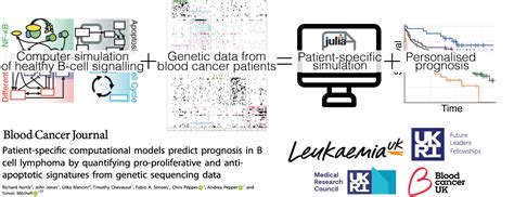 Patient Specific Computational Models Predict Prognosis In B Cell