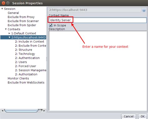 Dynamic Analysis With Owasp Zap