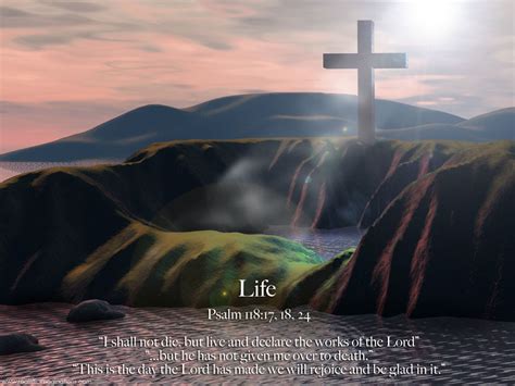 Psalm 11824 Wallpapers And Backgrounds