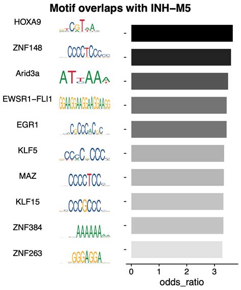 Motif Analysis • Hdwgcna