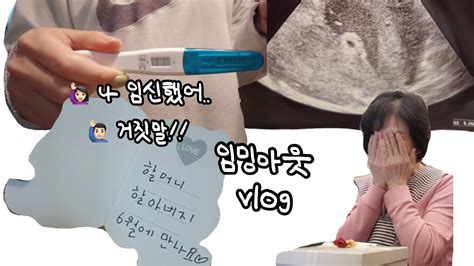 Vlog 내가 엄마가 된다니 눈물 펑펑 임밍아웃😭 양가의 반응은 Youtube
