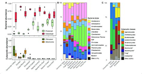 Sandstone Endolithic Community Composition A Top Relative Download Scientific Diagram