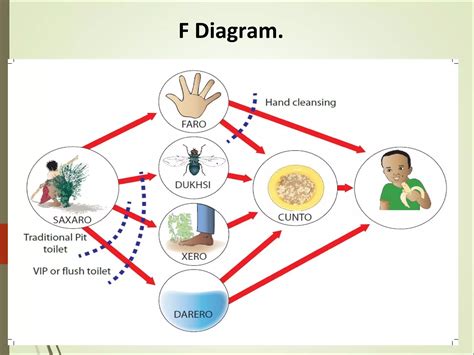 Training For Hygiene Promotion Ppt