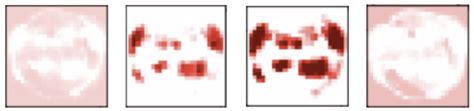 Subset Of Activations From The Final Convolutional Layer Indicating
