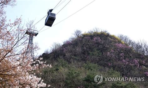 이르면 2025년부터 명동역에서 남산까지 곤돌라로 이동한다 네이트 뉴스