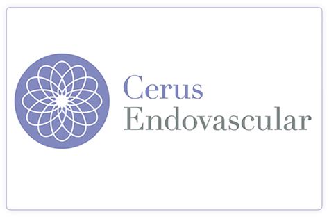Cerus Endovascular Receives Ce Mark Approval For Its Contour Neurovascular System Designed To