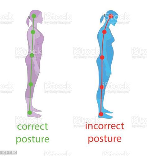 인체의 척추와 뼈의 건강 하 고 좋은 성격에 대 한 서 있는 자세에서 맞춤을 수정 합니다 건강 및 의료 일러스트 레이 션 서 있기에 대한 스톡 벡터 아트 및 기타 이미지