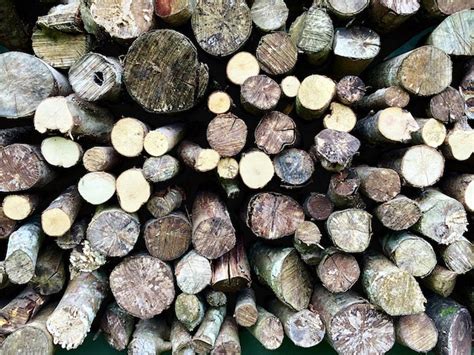 Premium Photo Full Frame Shot Of Timber Stack