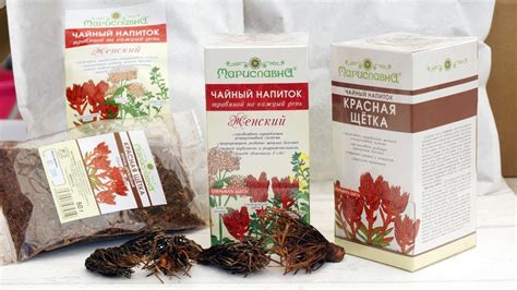 Красная щётка целебный корень Фиточай для женщин с красной щёткой Youtube